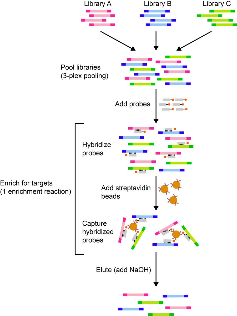 خطوات ومبدأ عمل Next Generation Sequencing NGS 👇 ١- تحضير العينة او ...