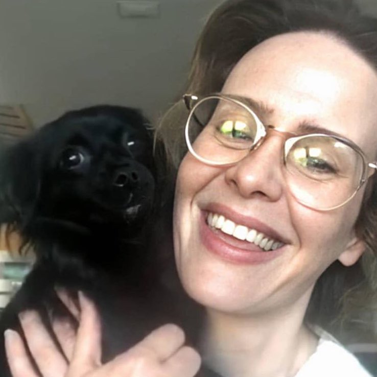 Sarah Paulson No Makeup | Makeupview.co