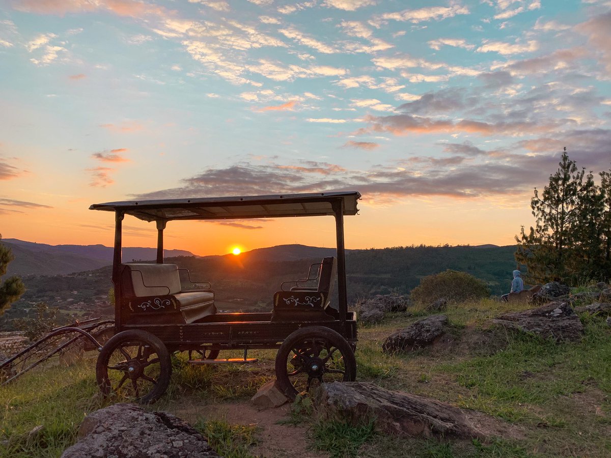 Arelí Ribero (@areliribero) | Twitter