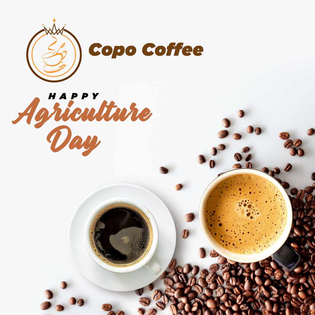 Katalyst Konbit (@KatalystKonbit) | Twitter