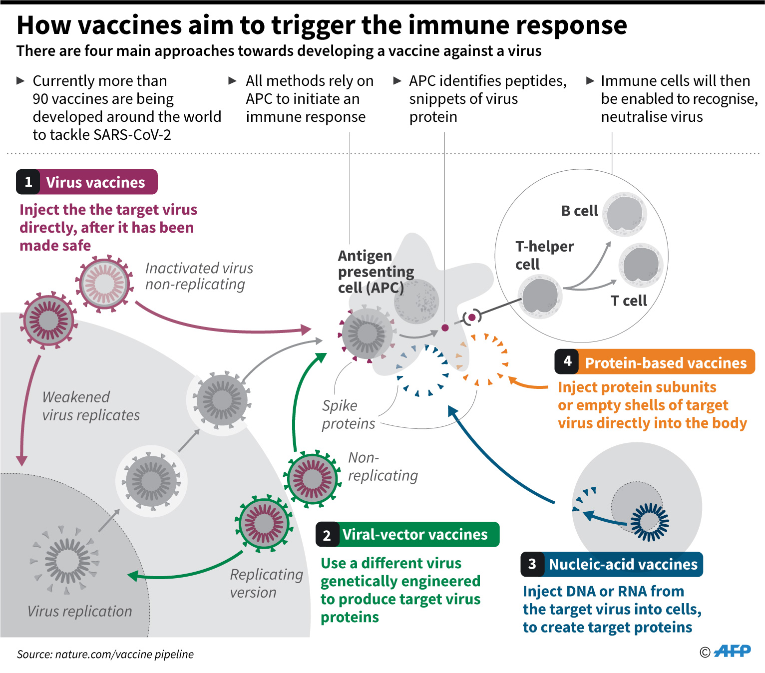 AFPgraphics on Twitter: "How vaccines aim to trigger the body's natural ...