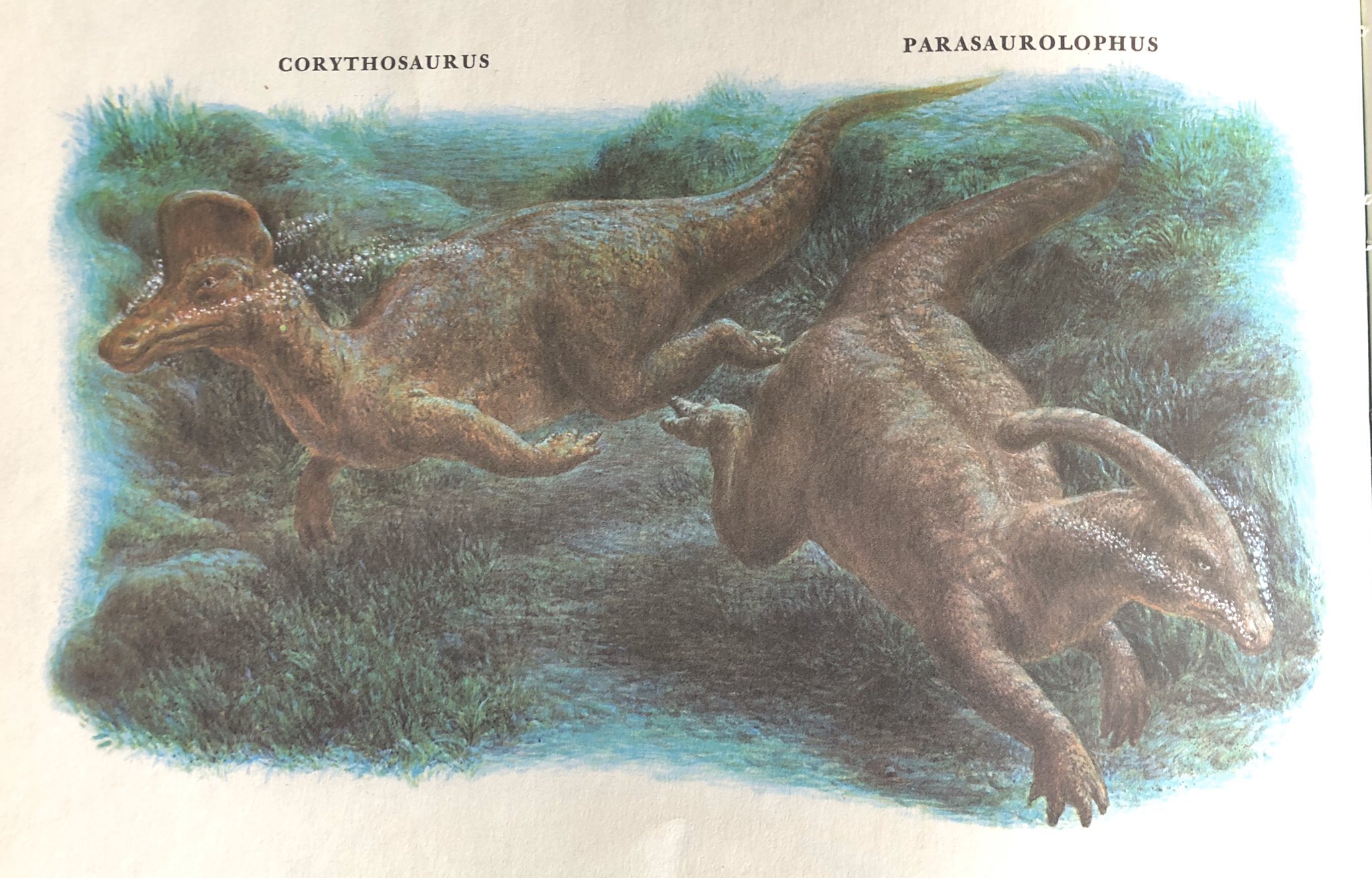 Zallinger Dinosaur Paintings