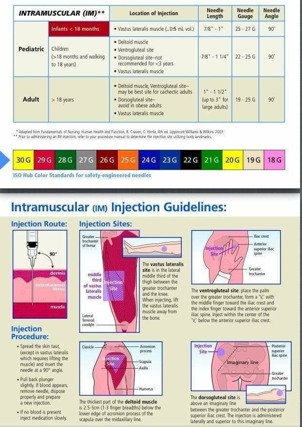 Intramuscular Injection Diagram