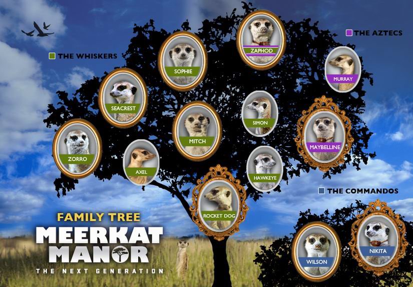 Meerkat Manor Family Tree