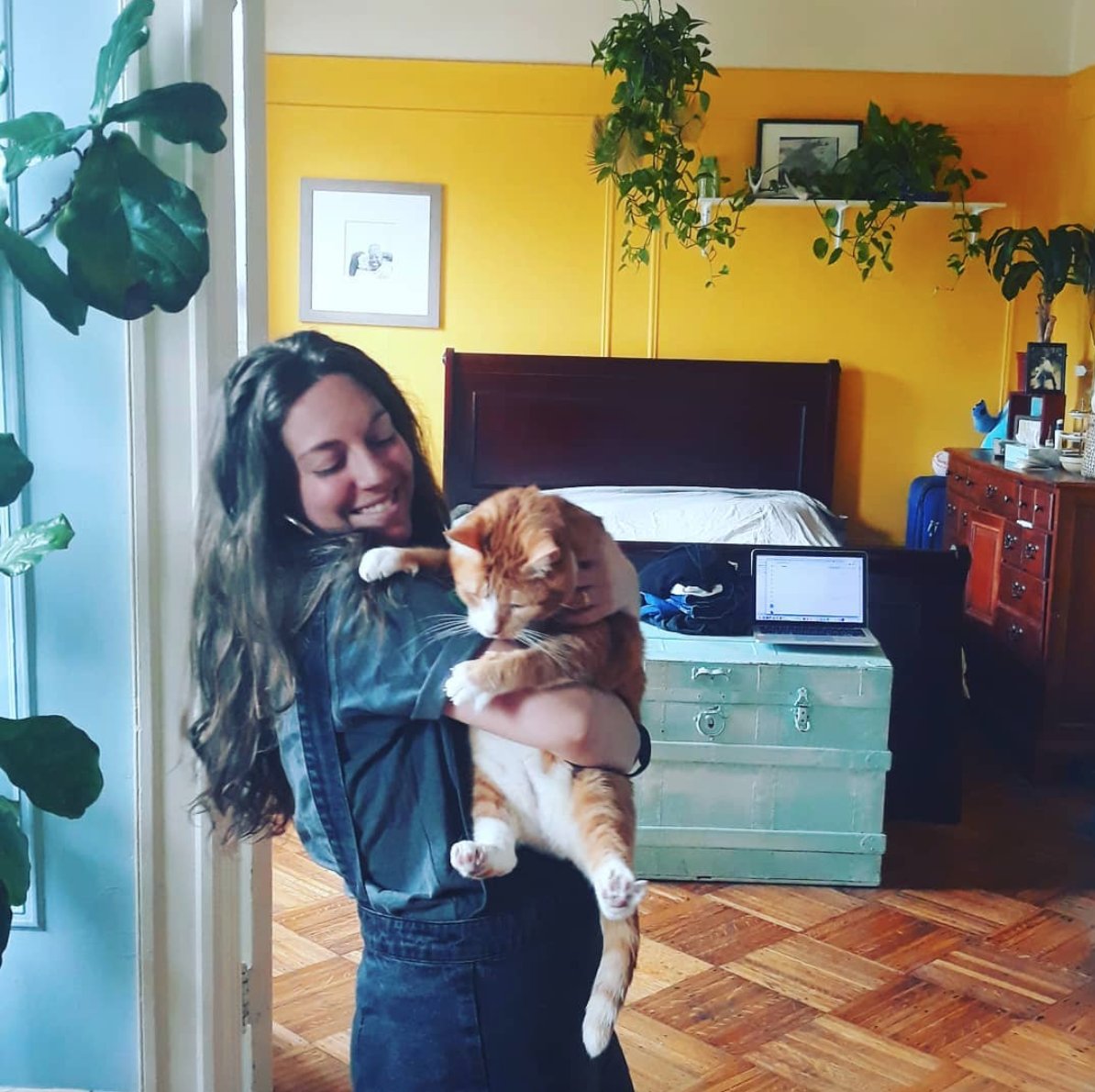 Shira Erlichman on Twitter: "A lesbian in her natural habitat. Thank you all for your kind words ...