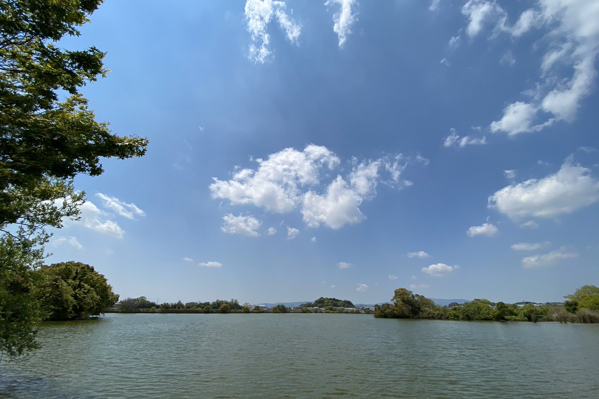 ライデル(@berry_rydell) - Twilog (ツイログ)