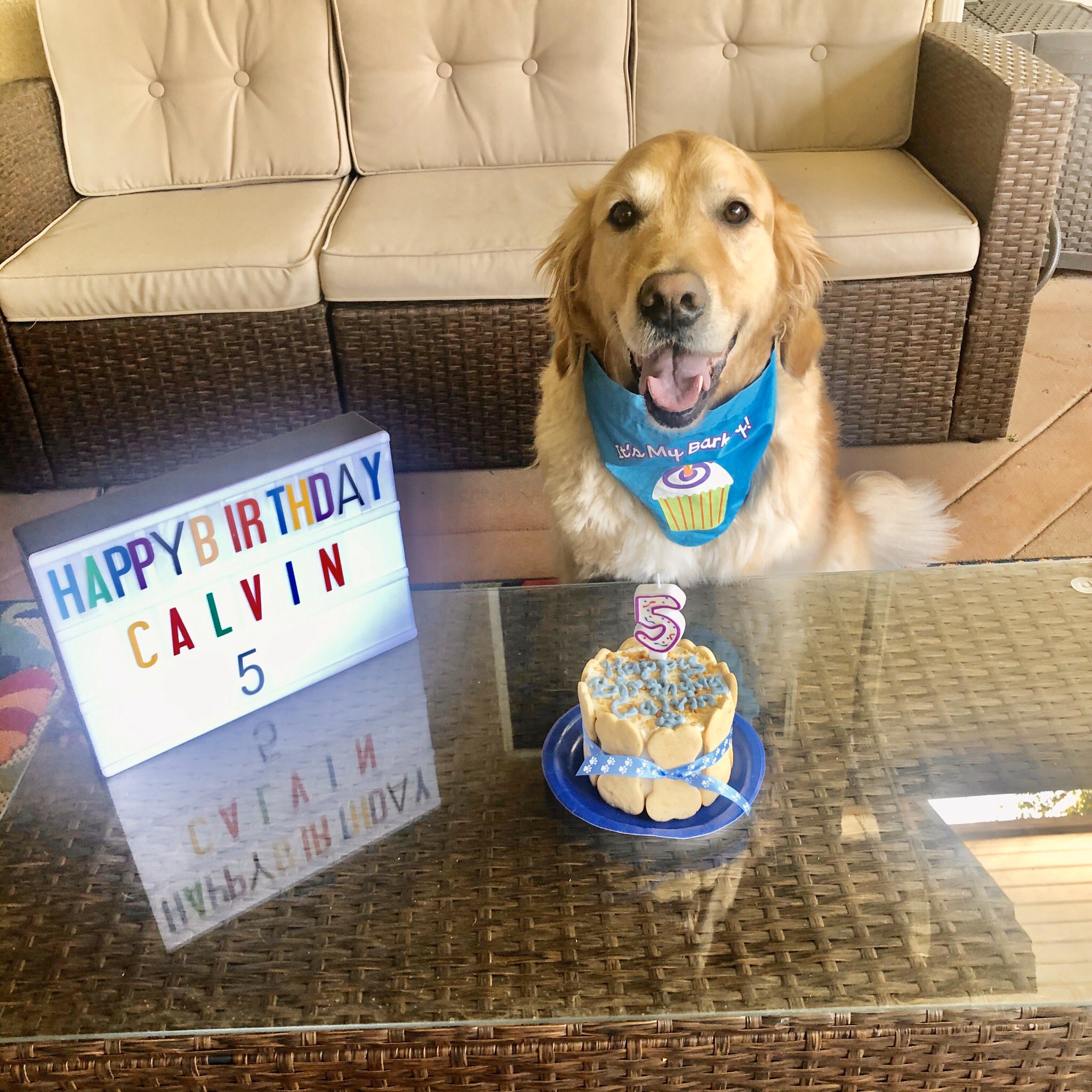 Golden Retriever Birthday Cake Meme