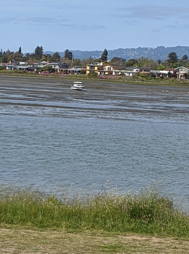 Malte Ubl on Twitter: "Another tow boat appeared and rescued the first ...