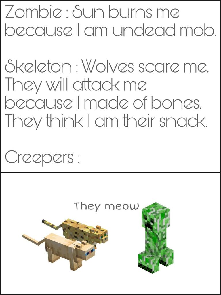 Minecraft Skeleton Meme