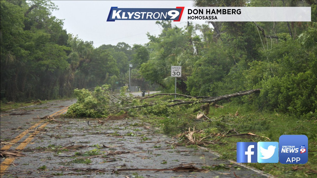 Numerous reports of trees down around Homosassa Springs as severe ...