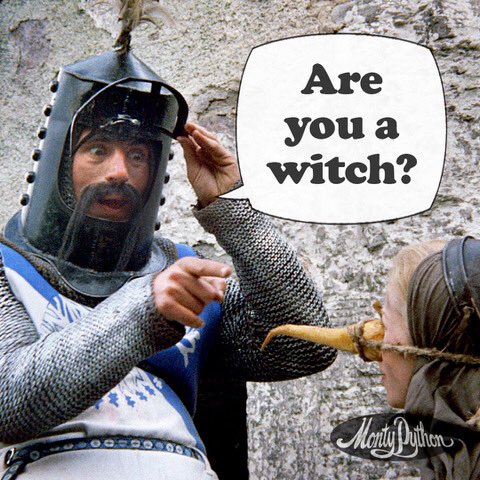 Monty Python And The Holy Grail Quotes Shes A Witch