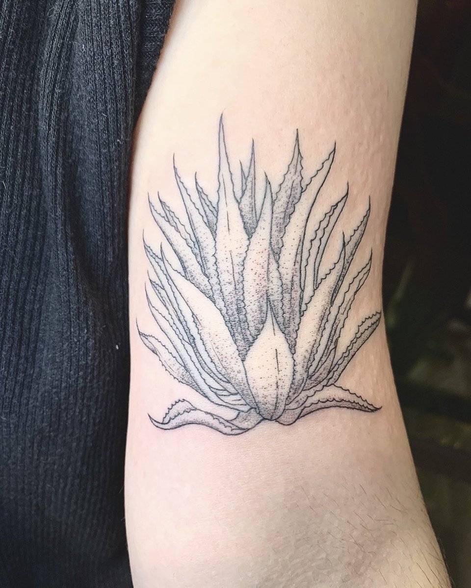 Agave Plant Tattoo