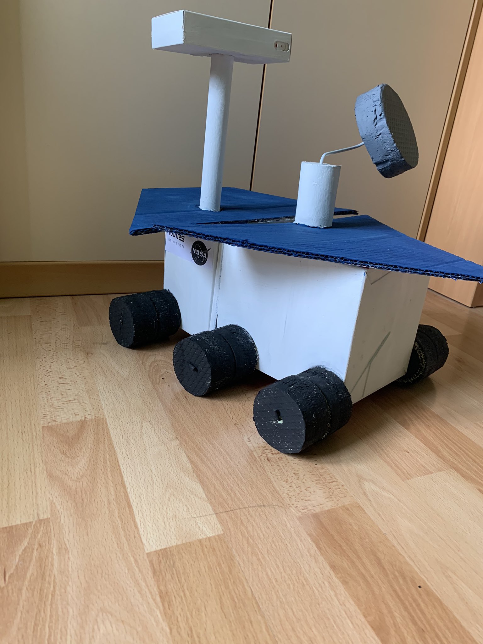 Mars Rover Project