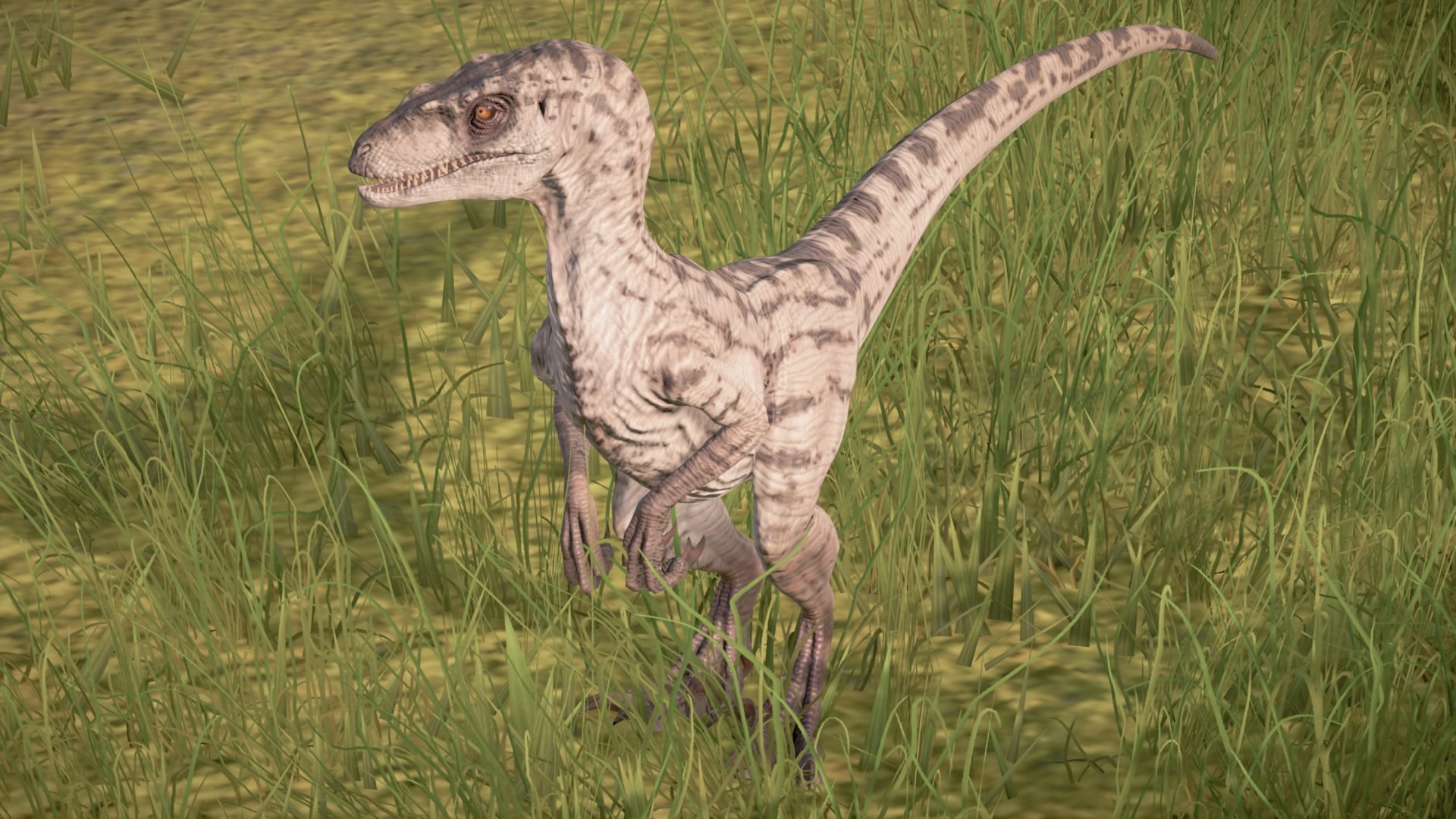Jurassic Park 3 Velociraptor Female