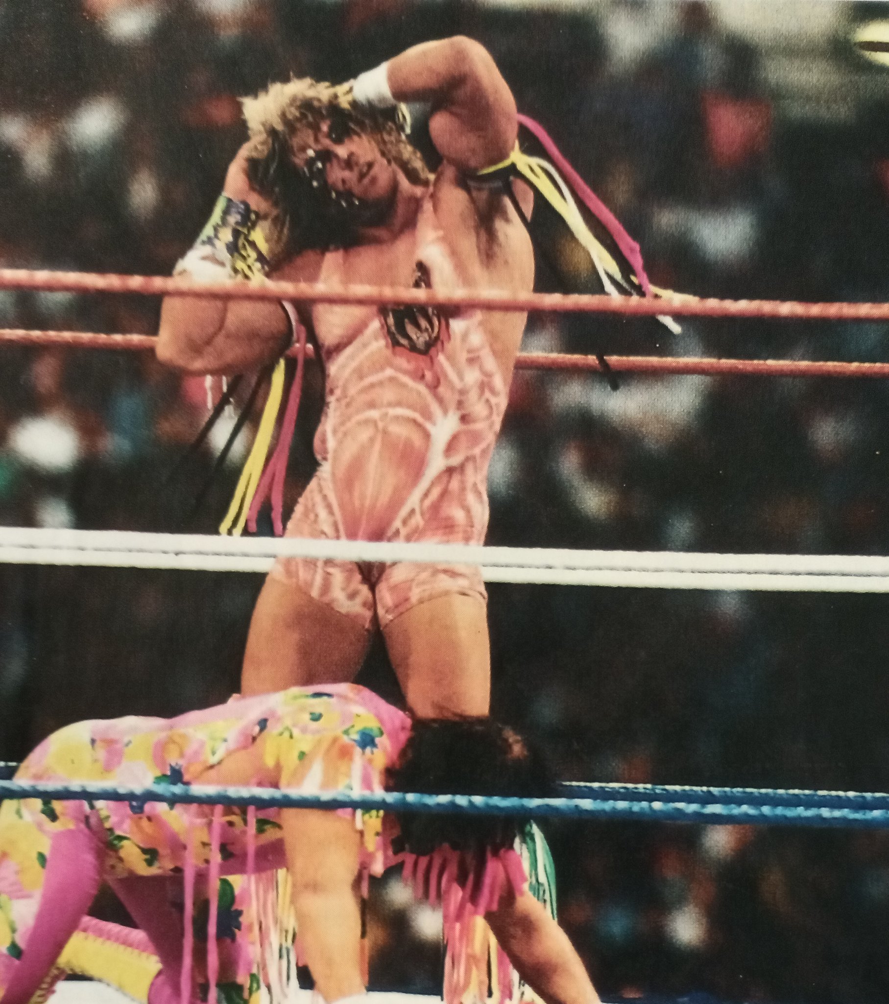 Ultimate Warrior Vs Macho Man