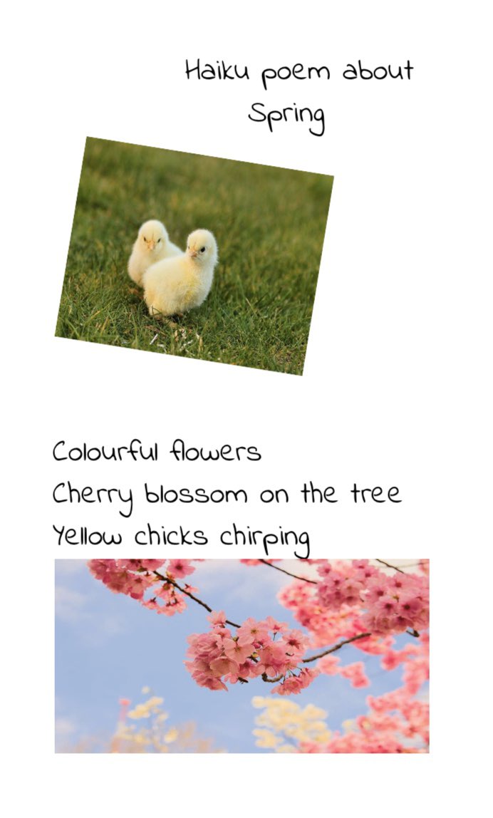 Bird Haiku Poems About Spring