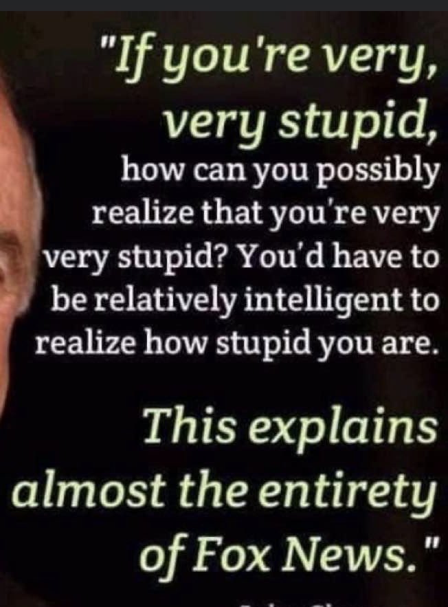 You Are So Dumb You Are Really Dumb