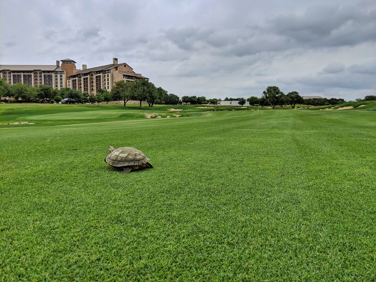 TPC San Antonio Golf: Tee TImes, Courses, Lessons, Memberships - TPC ...