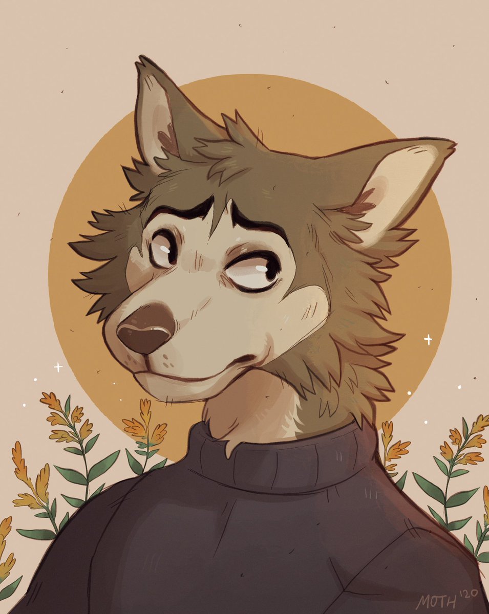 Anthropomorphic Wolf Boy
