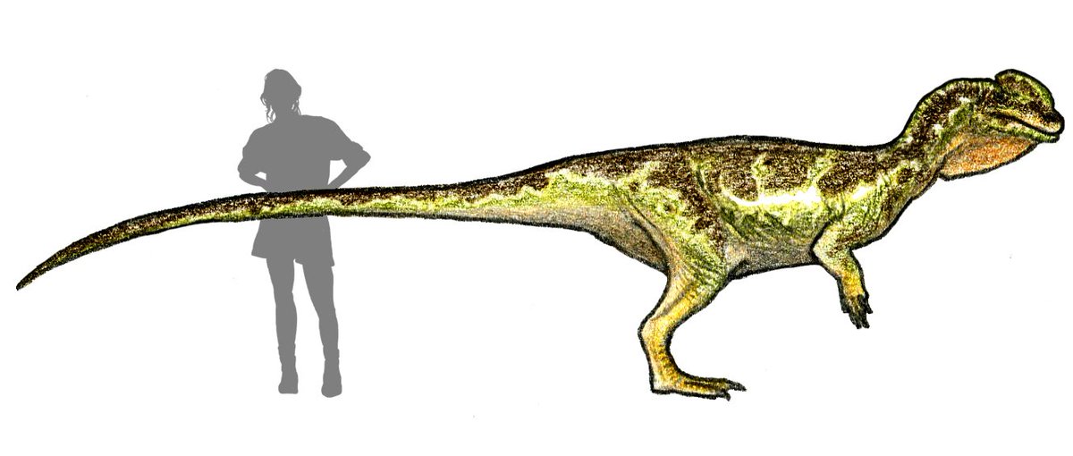 Dilophosaurus Jurassic Park Novel