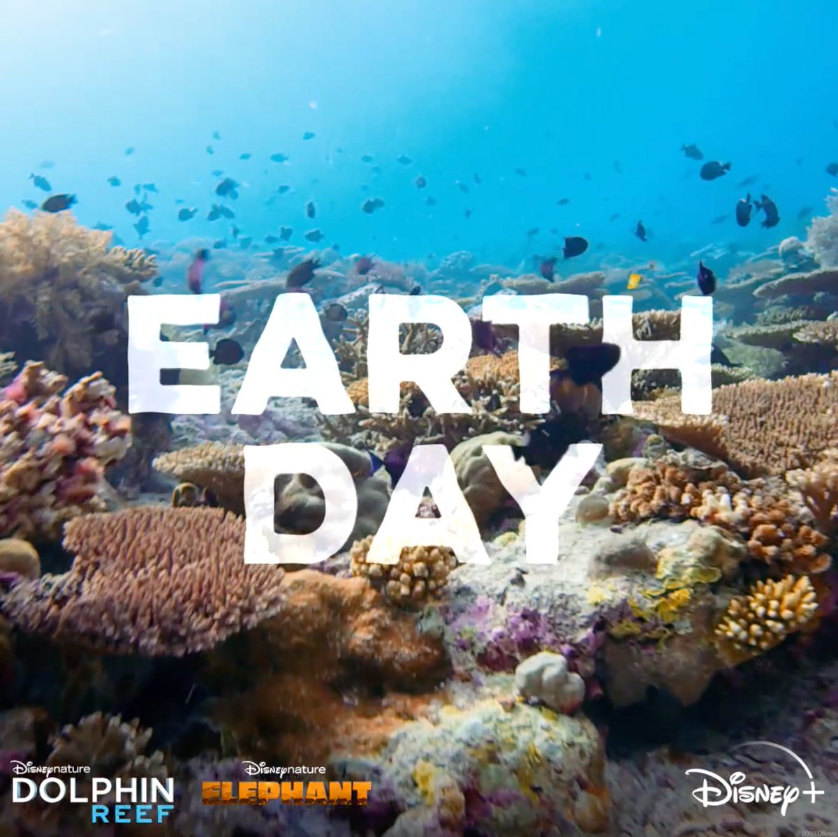 This Earth Day, we’re celebrating amazing creatures on land and sea ...