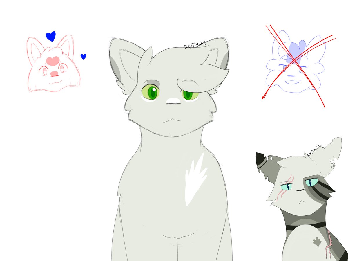 Tigerheart And Bumblestripe