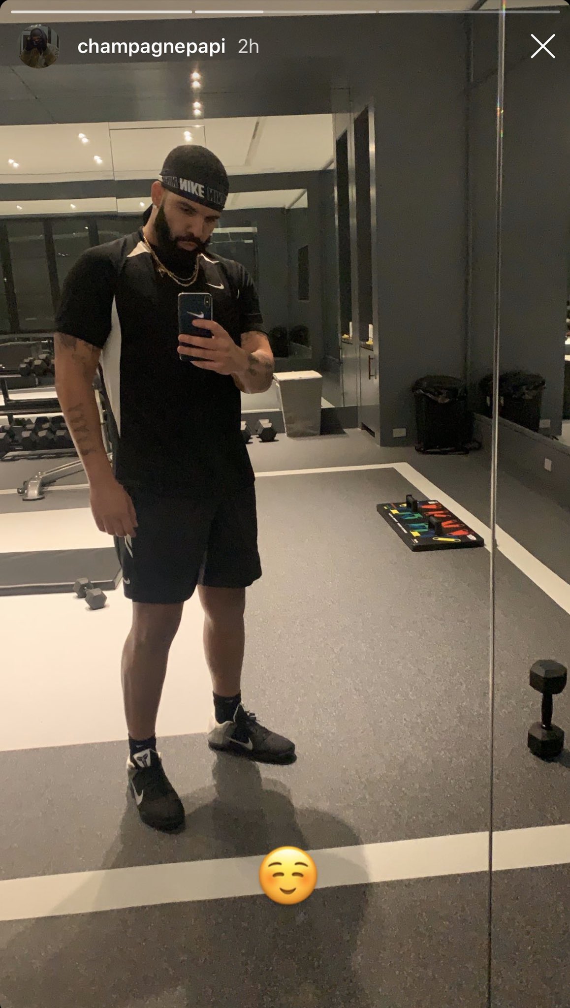 Drake At The Gym Meme