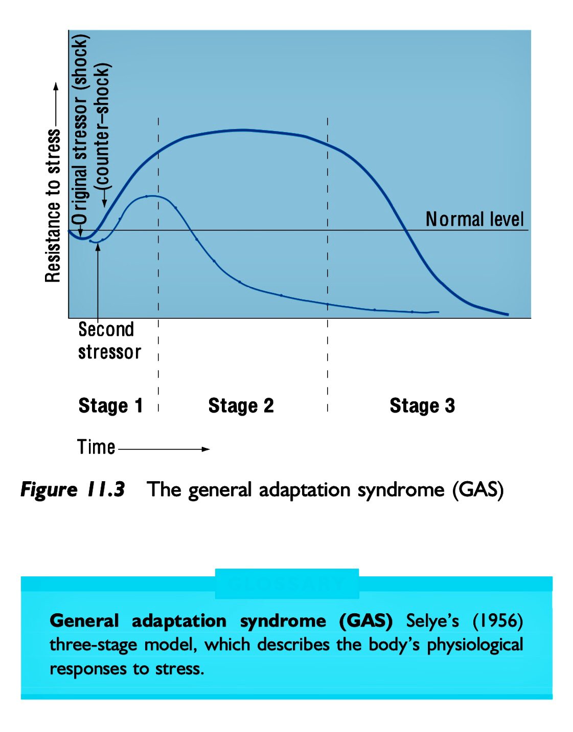 General Adaptation Syndrome Gas