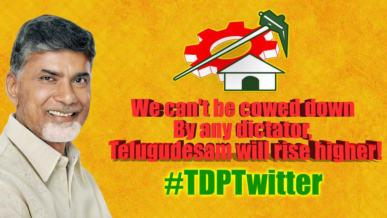 Tdp Winning Quotes 74 Inspiring Quotes On Being Assertive (SUCCESS)