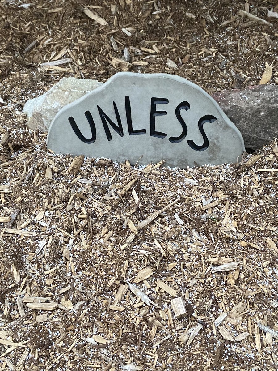 Unless Rock Lorax