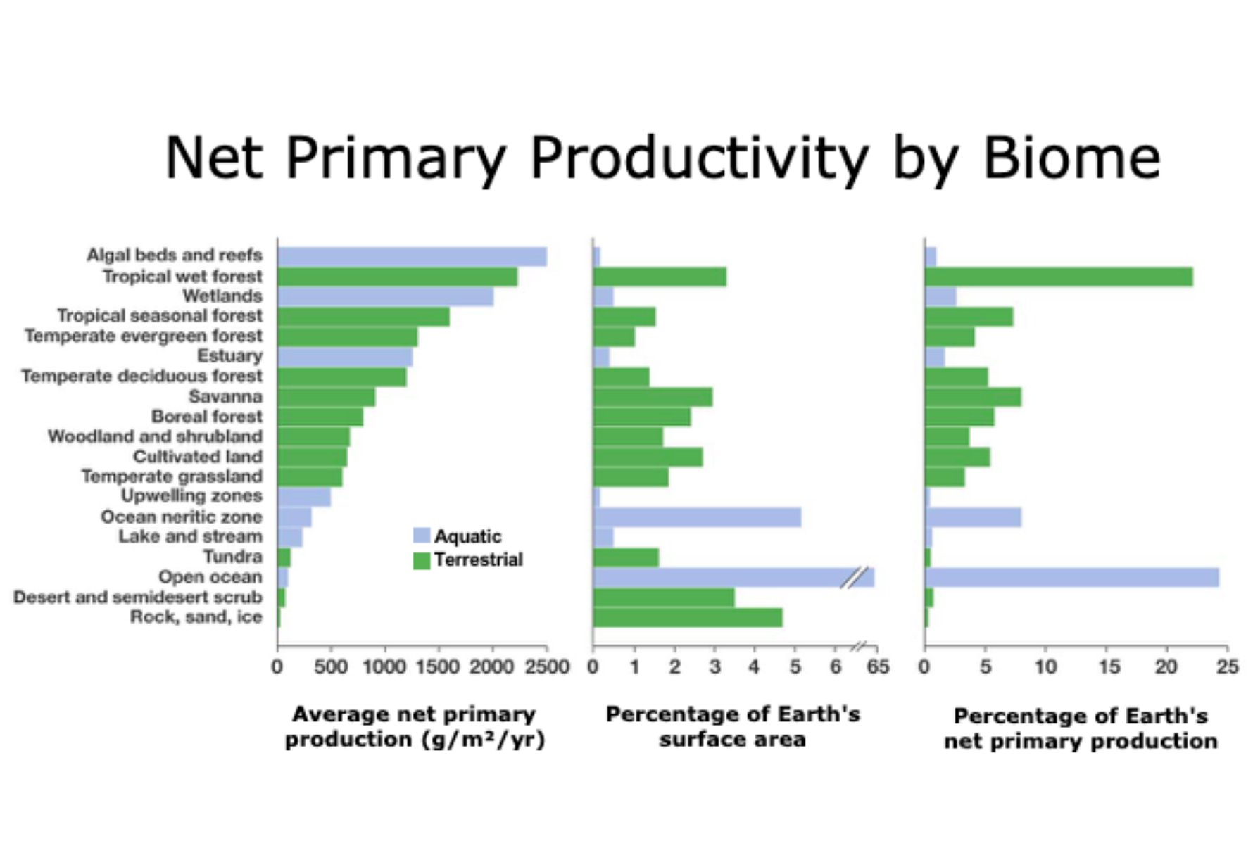 Primary Productivity Graph