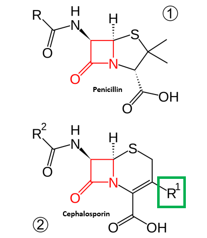 Thread by @ChrisZhouDO: Working on a module reviewing adverse drug ...