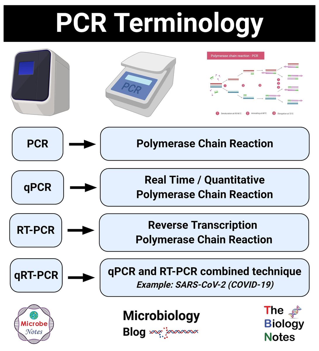 Quantitative Real Time Pcr Qpcr Youtube Quantitative Real Time Pcr Qpcr Youtube