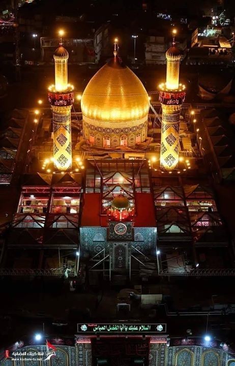 Hazrat Ali Roza Mubarak Picture