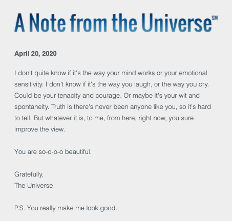 TW Pornstars - Taylor Feingold. Twitter. #notesfromtheuniverse. 3:04 PM ...