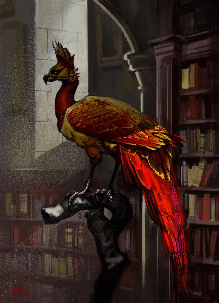 Harry Potter Concept Art By Adam Brockbank