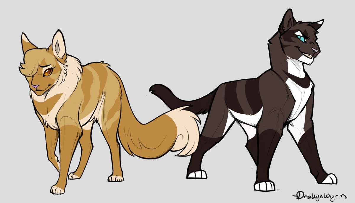 Warrior Cats Mothwing And Hawkfrost