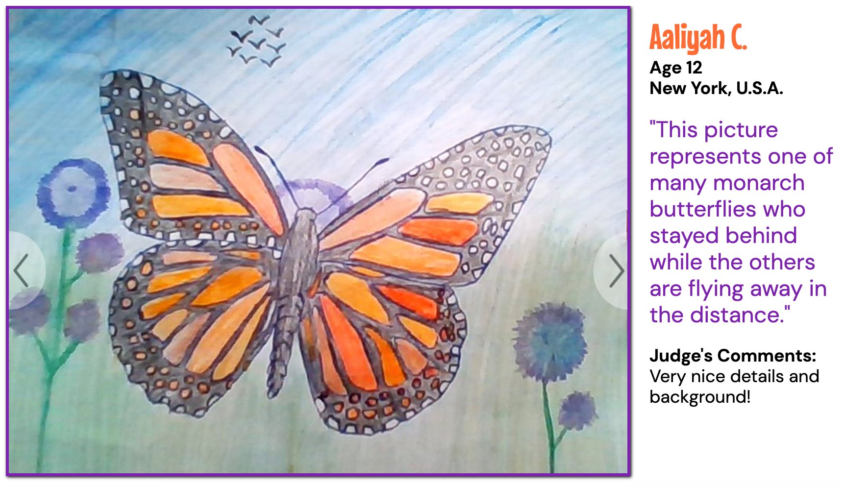 Monarch Butterfly Drawing Flying