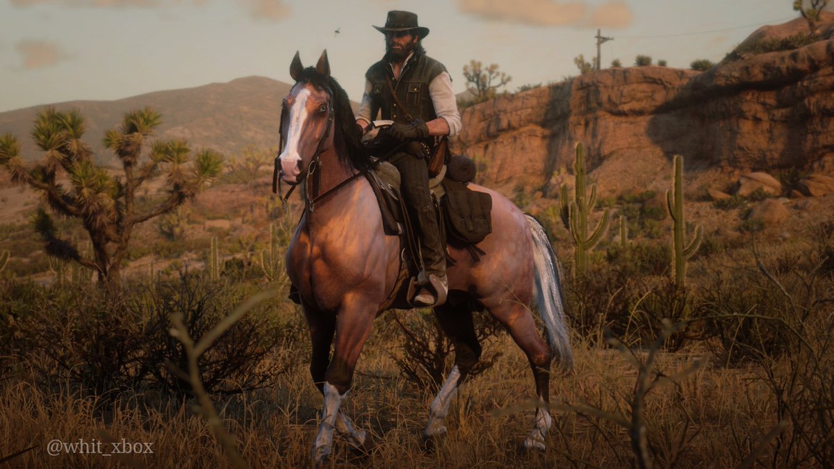 Where Is The American Standardbred In Rdr2