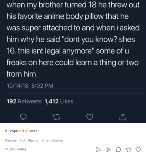 Funny Tumblr Replies