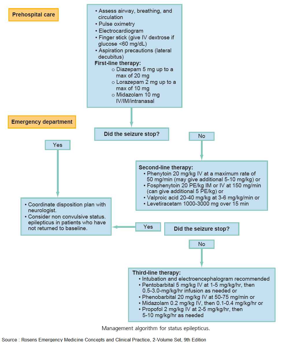 Epilepsy Treatment Algorithm