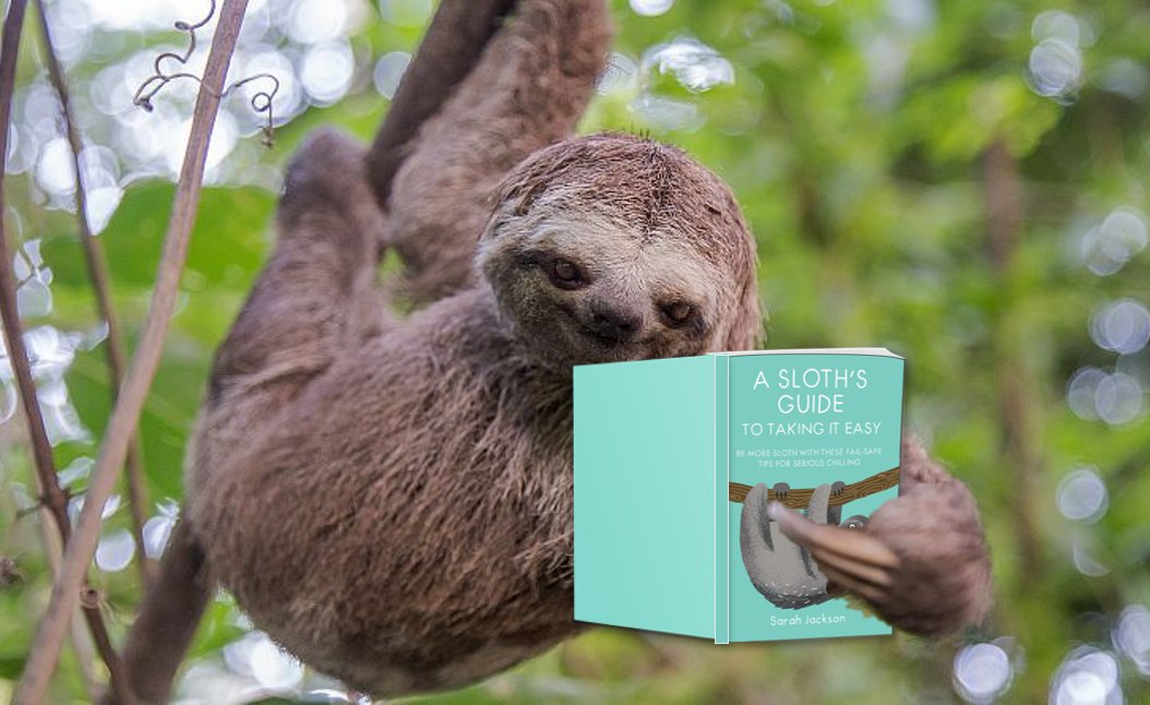 Animals Reading Book