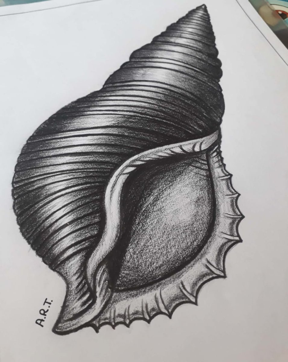 Update 82+ shankh sketch - in.eteachers