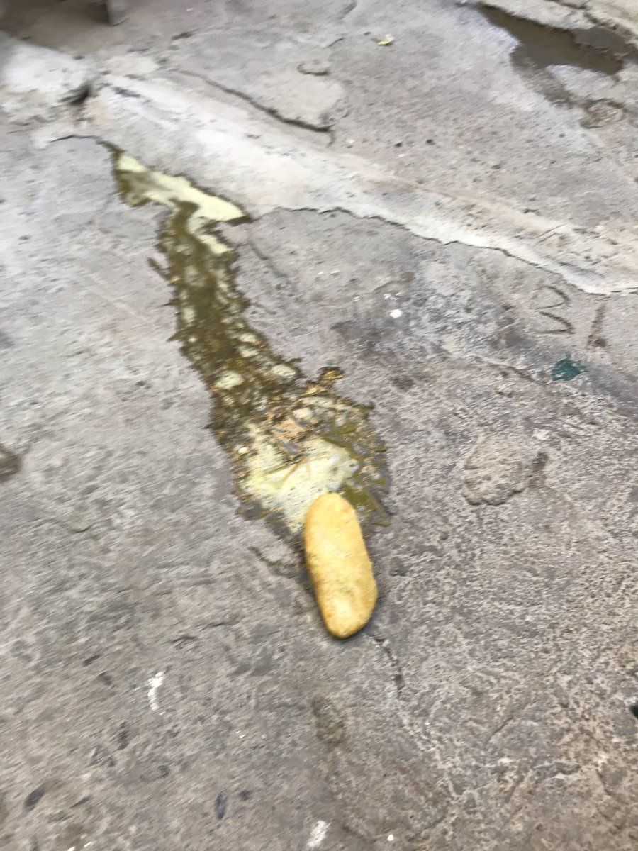 What Happens If A Dog Eats A Mango Seed