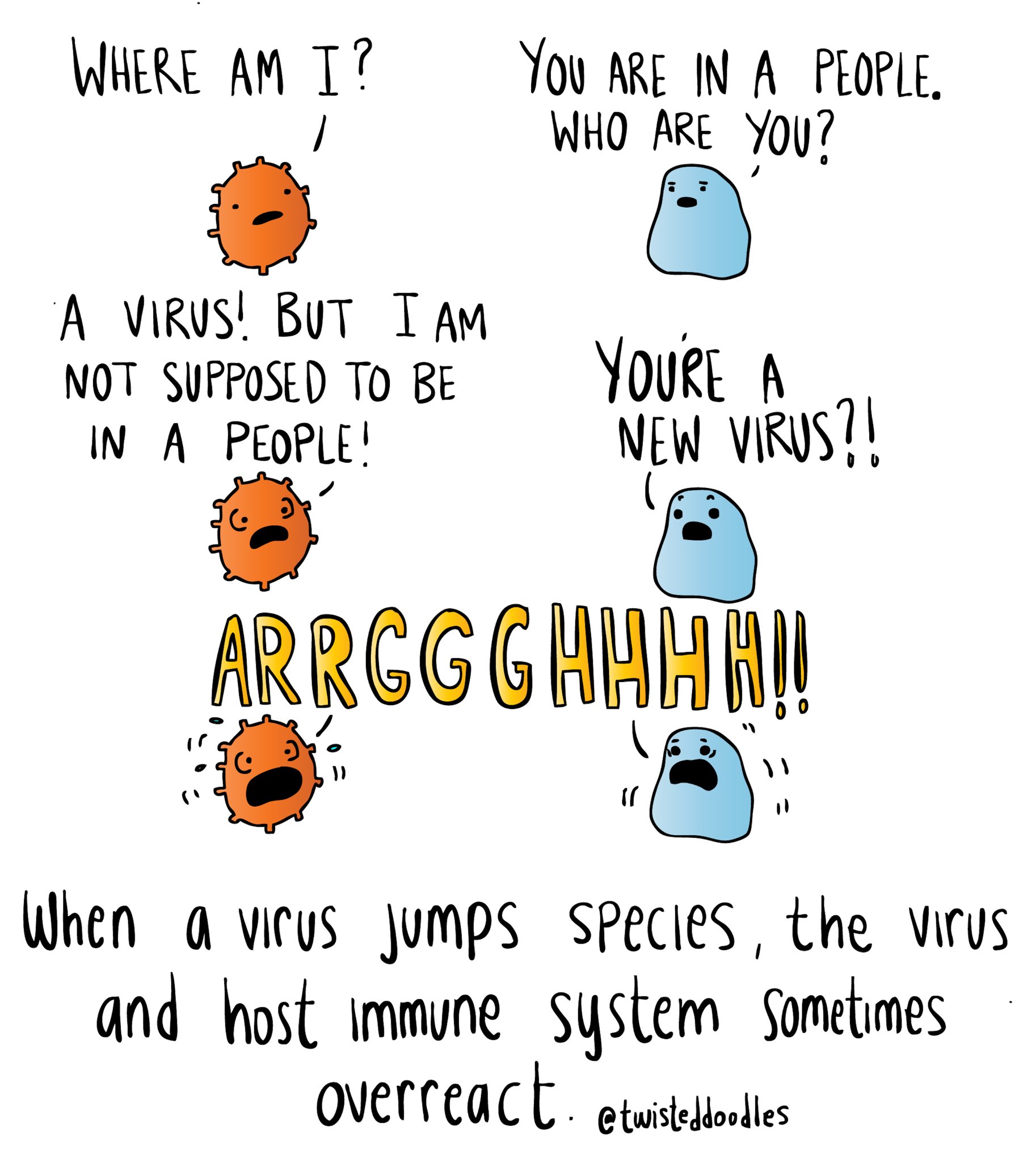 Immune System Jokes Qwik Jokes | Good Qwik Joke In Every New Tab