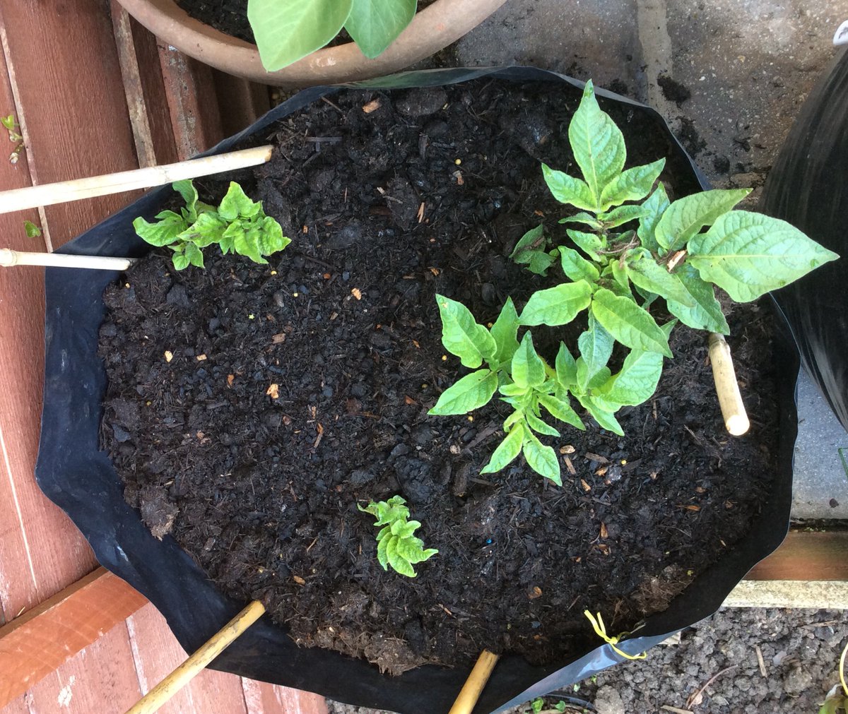 Shortstown Primary School