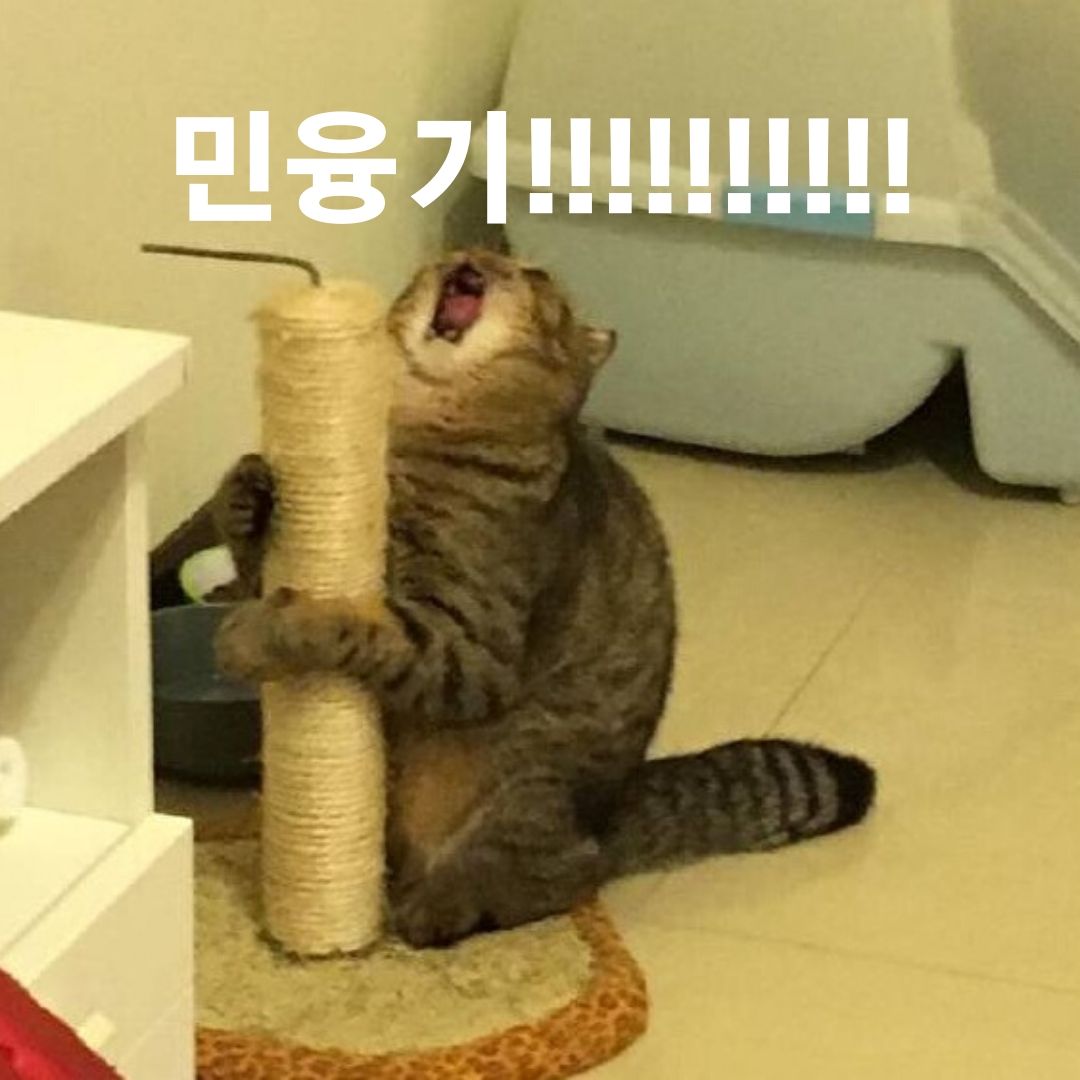 $SCRATCH Meme Coin