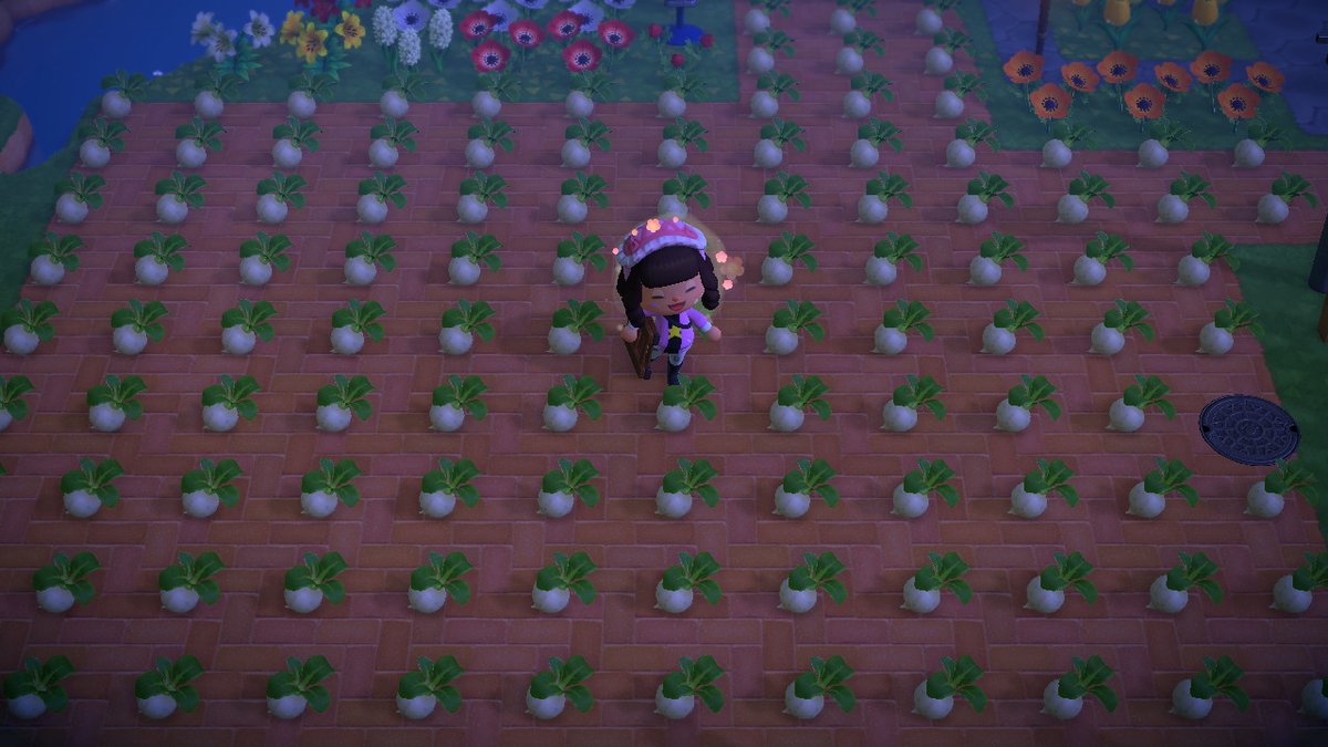 Ethan_hung (@Ethanhung11) | Twitter