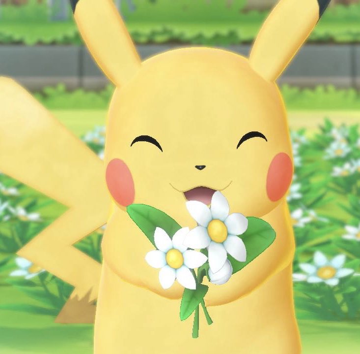 Pikachu Holding A Flower