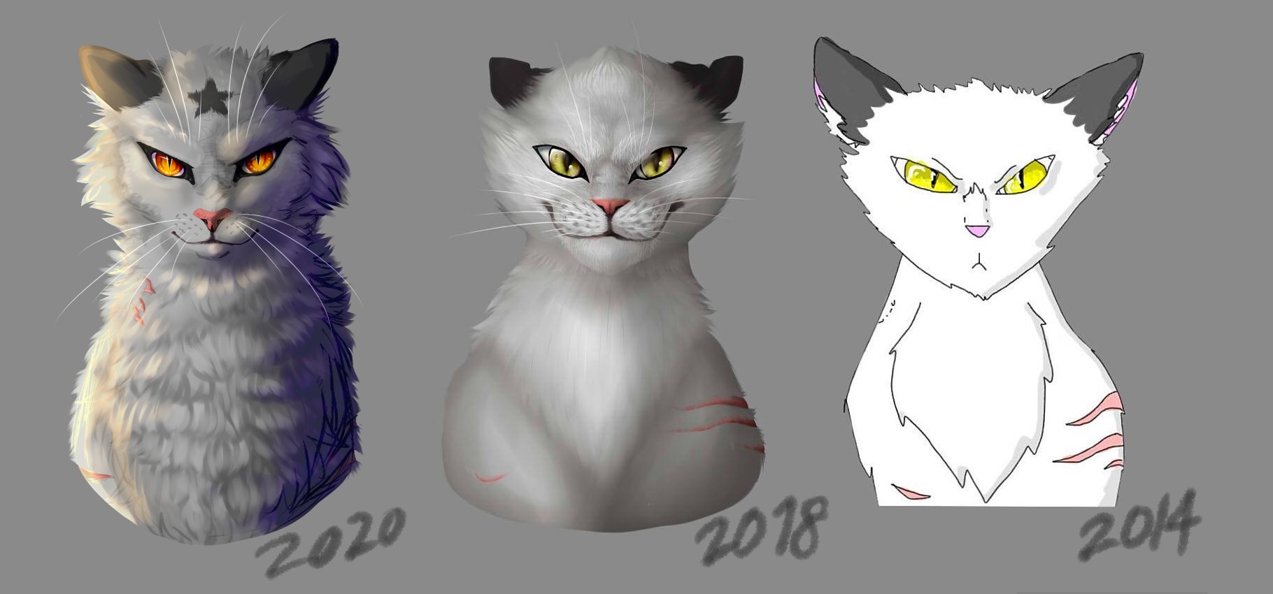 Warrior Cats Blackstar